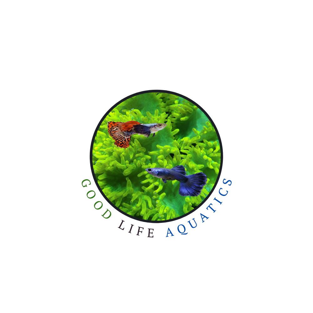Good Life Aquatics